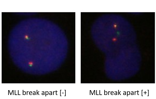 BioMolecular Discovery and Solutions Private Limited