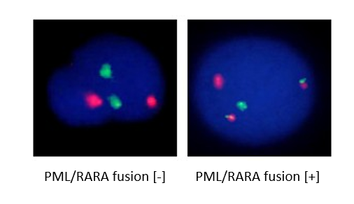 BioMolecular Discovery and Solutions Private Limited
