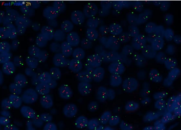 BioMolecular Discovery and Solutions Private Limited