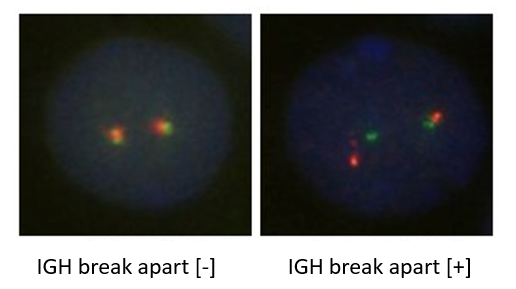 BioMolecular Discovery and Solutions Private Limited