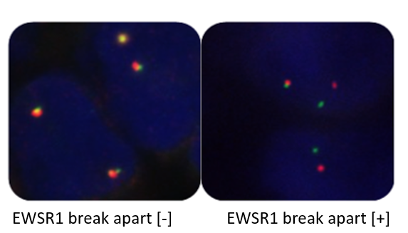 BioMolecular Discovery and Solutions Private Limited