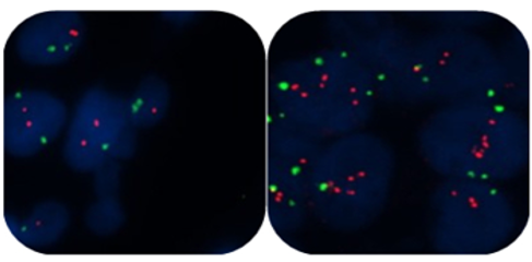 BioMolecular Discovery and Solutions Private Limited